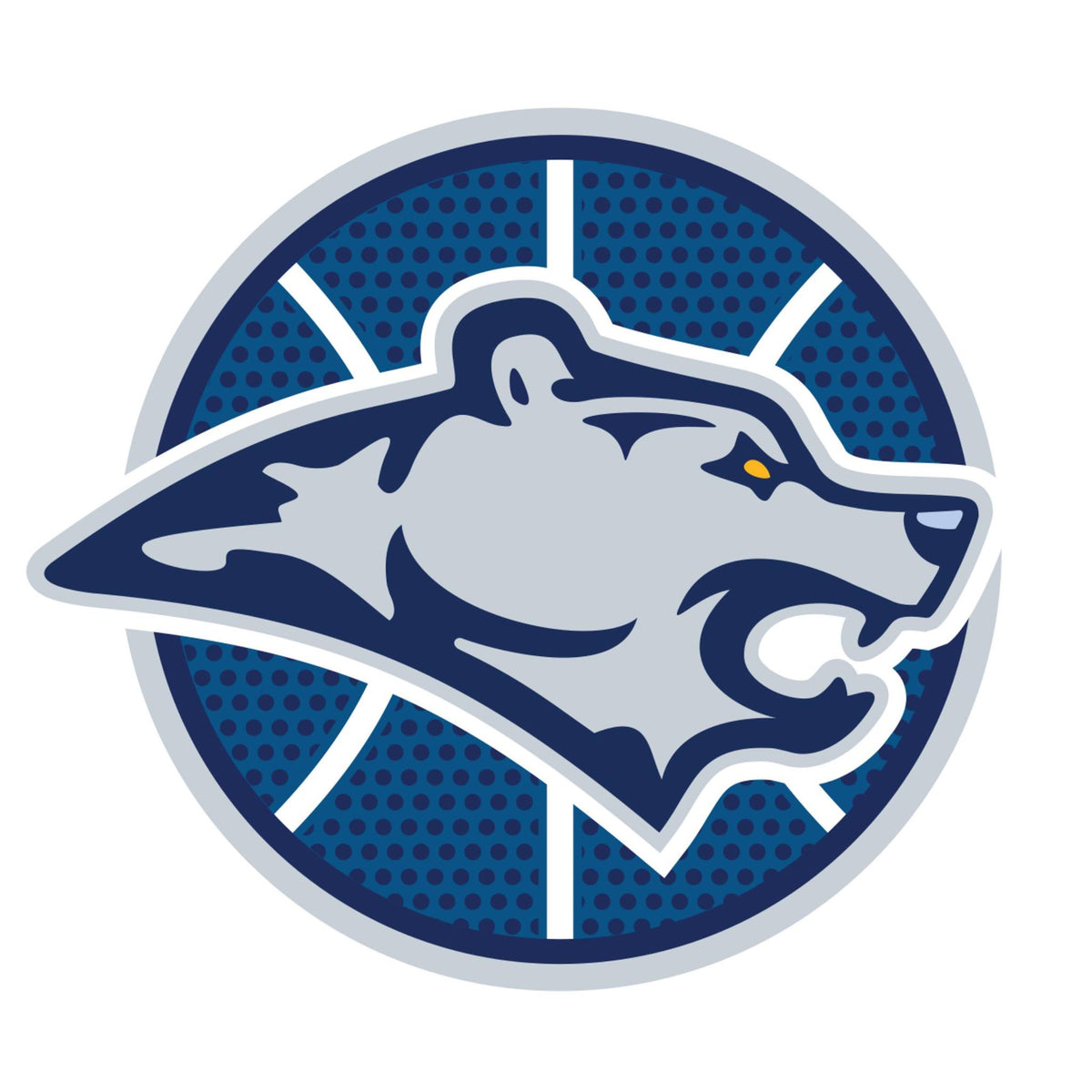 Porvoon Tarmo – TeamSpirit Suomi